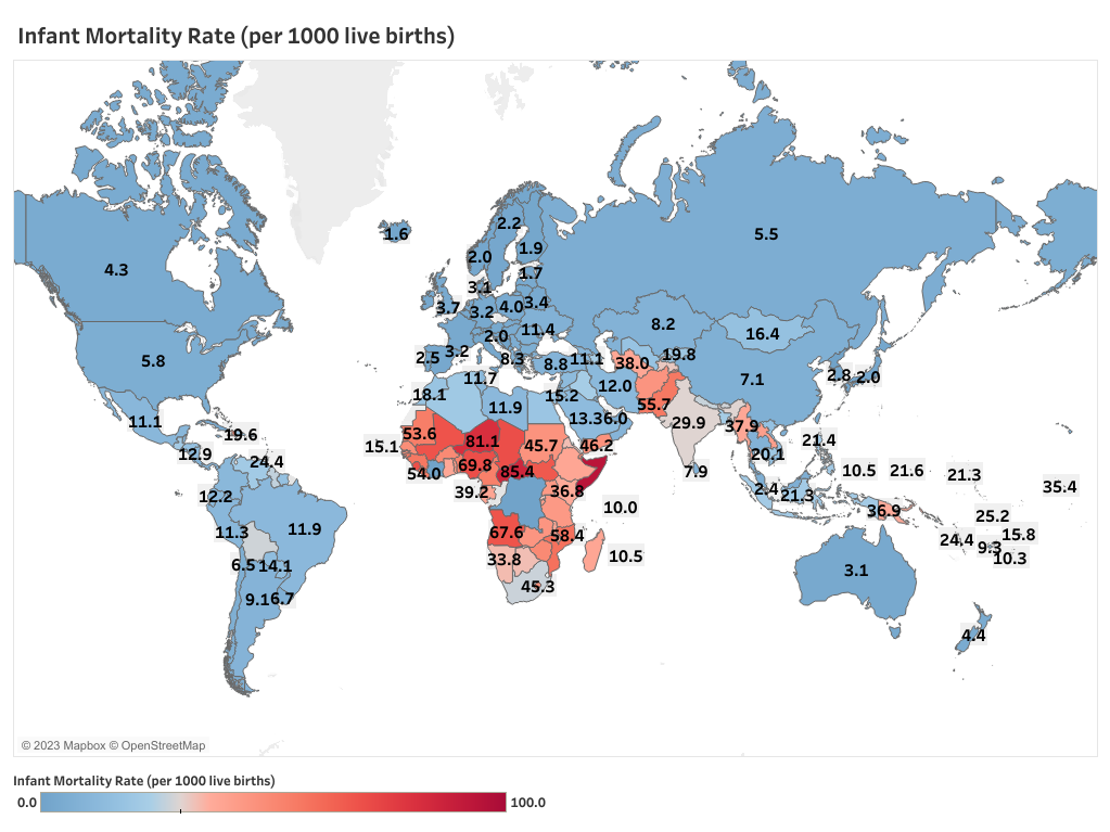 Infant Mortality Rate